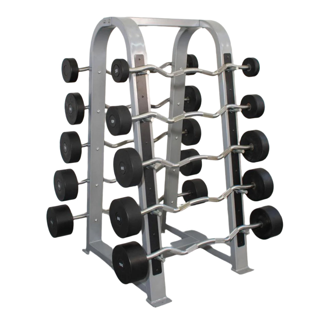 Muscle D Fitness Straight / Curl Urethane Barbell Set – My Fitness Outlet